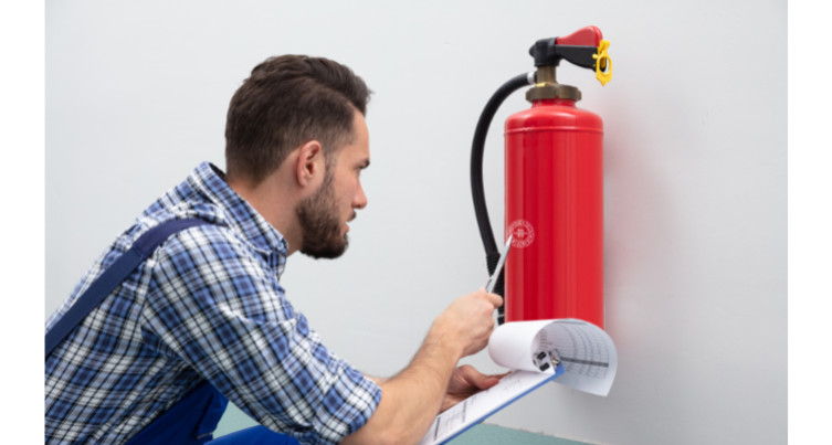 Quelle Pastille Calendrier choisir ? - Direct Signalétique